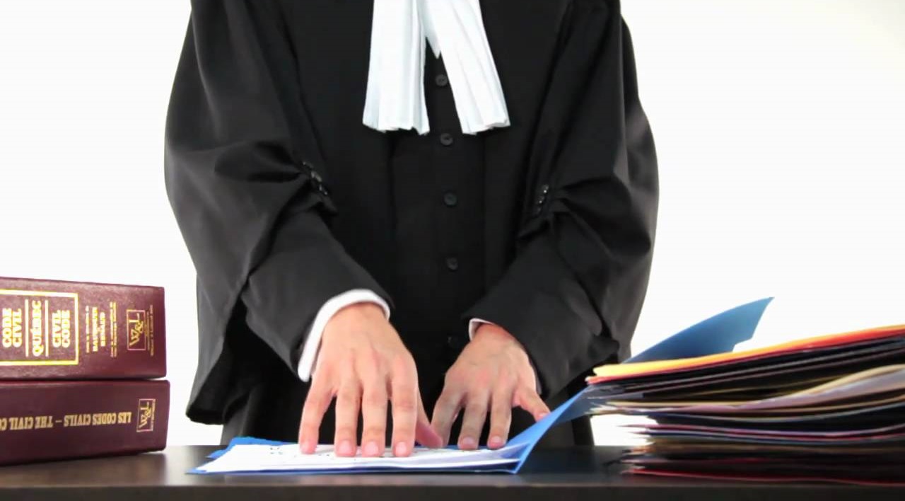 Statistiques officielles sur la profession d’avocats en 2019 - Grands ...